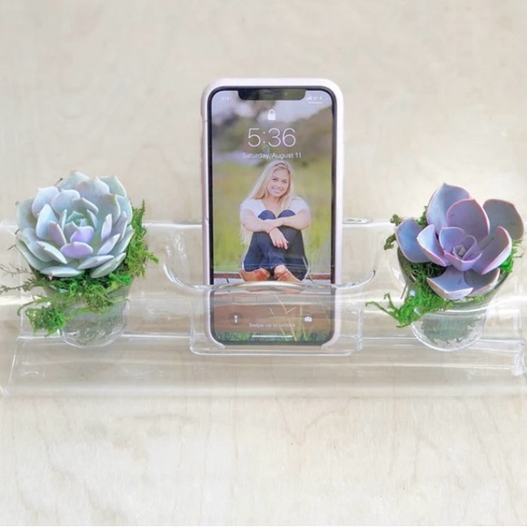 Succulent Artworks | Accents | Clear Glass Double Succulent Cacti ...